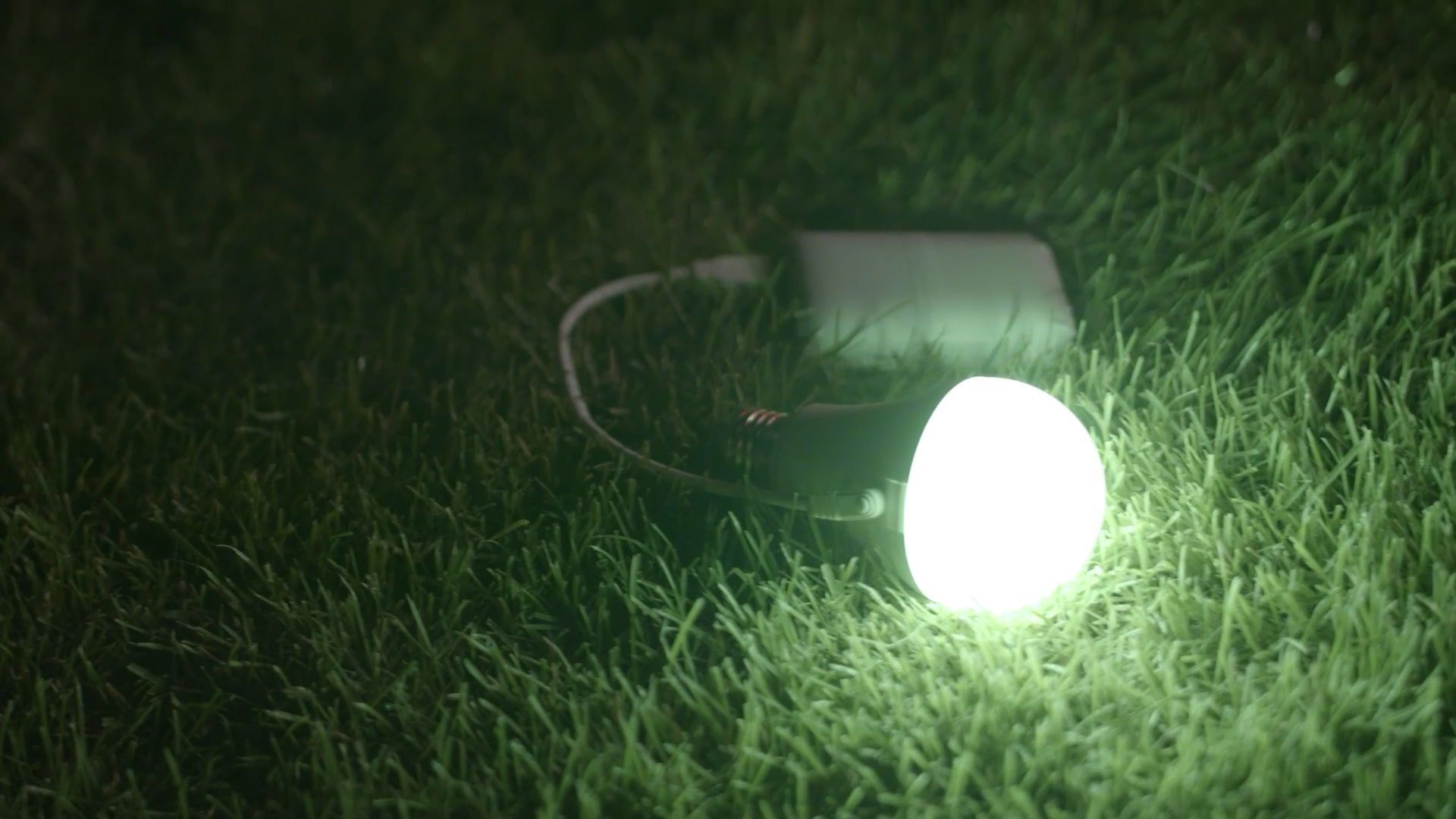 NYX Bulb by Astera